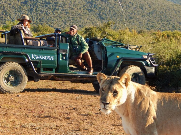 Kwandwe Private Game Reserve: A Luxury Safari in South Africa’s Eastern ...