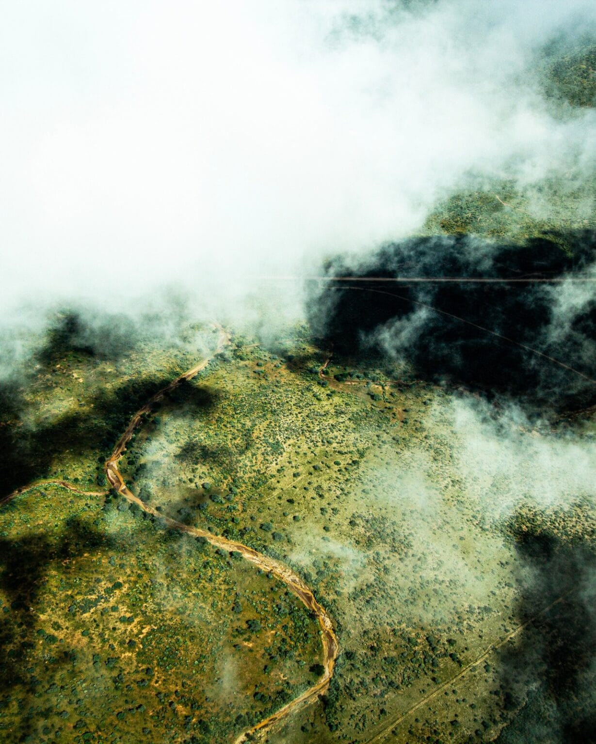 A Desert Transformed: Rain and Renewal in Namibia’s Namib - Made in ...